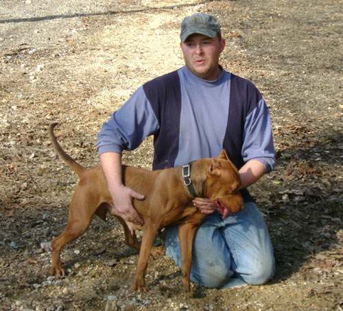 Gentry's Bryant's Dixieland Delight - Female Red Nose American Pit Bull ...